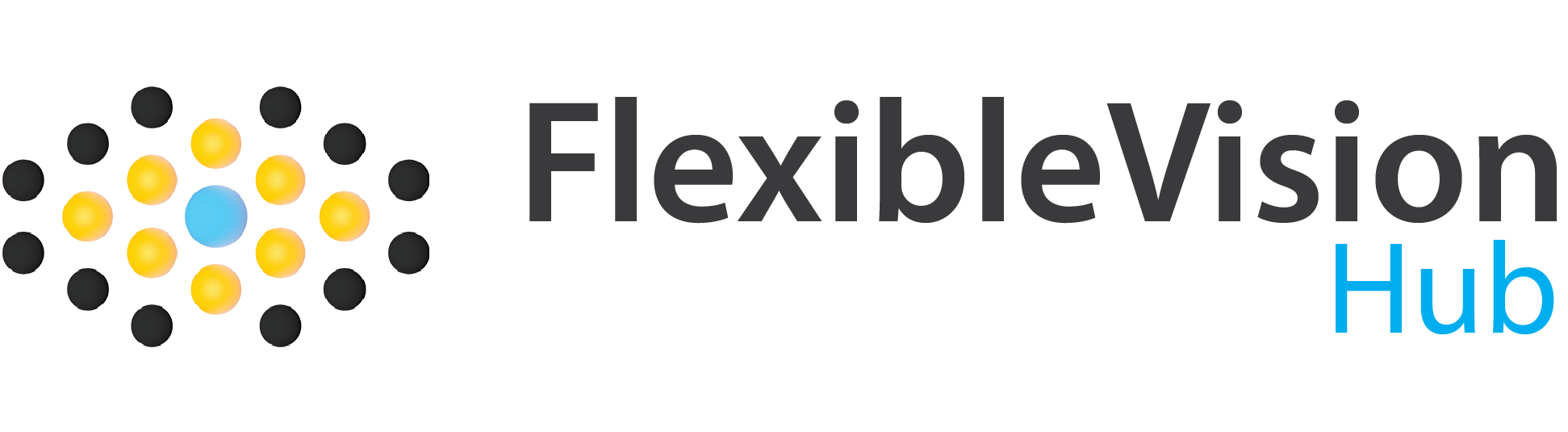 Flexible Vision Hub